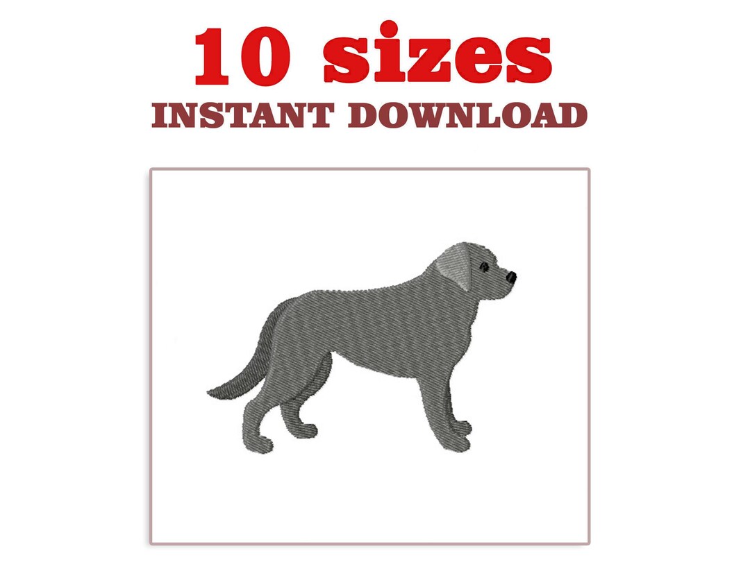 Labrador Dog Embroidery Design File, Dog Design, Machine Embroidery ...