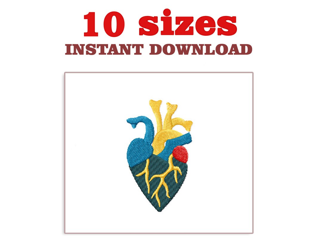 Anatomical Heart Embroidery Designs: Machine Embroidery File (digital ...