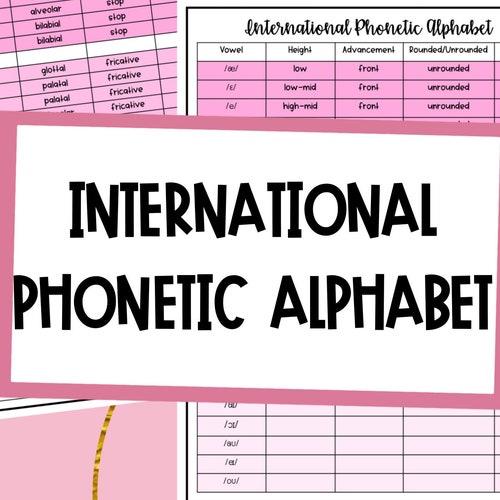 International Phonetic Alphabet Reference Sheet SLP Study - Etsy