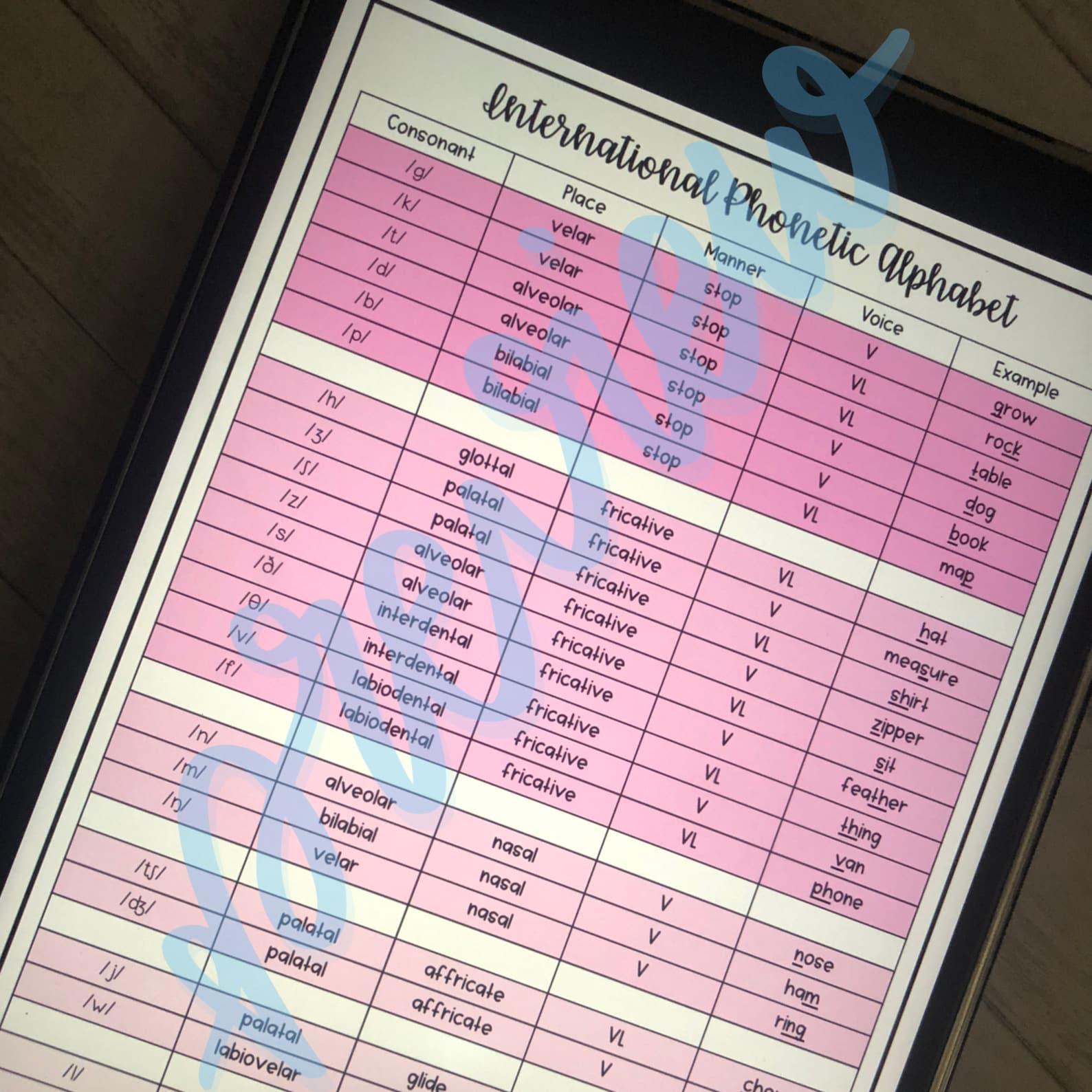 International Phonetic Alphabet Reference Sheet | SLP Study Guide - Etsy