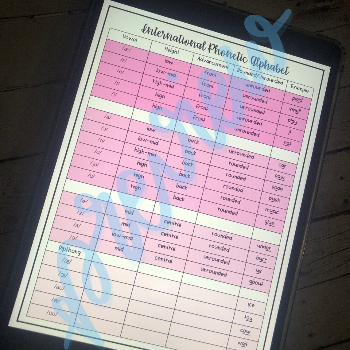International Phonetic Alphabet Reference Sheet | SLP Study Guide - Etsy