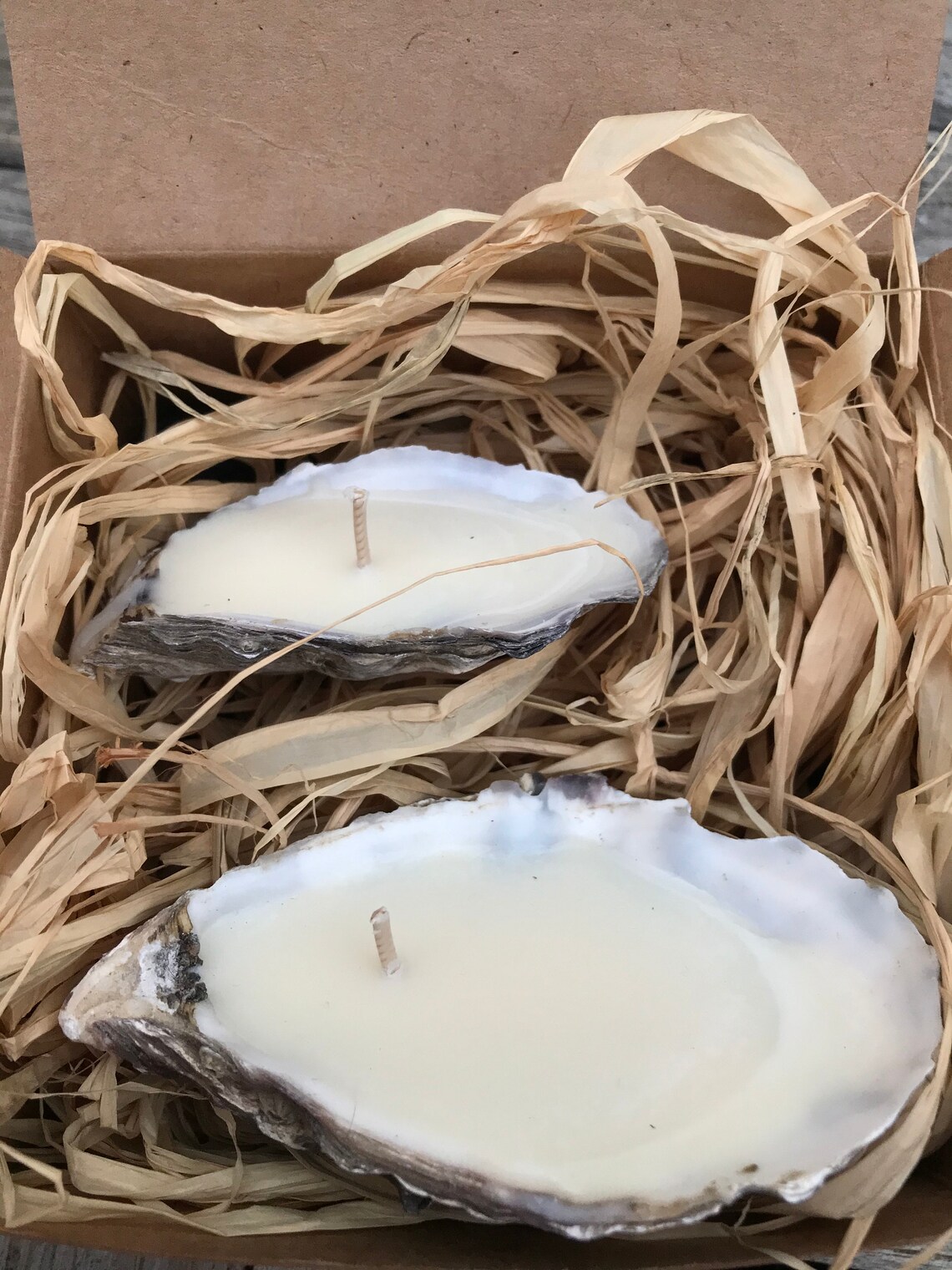 Oyster Shell Candles From Whitstable Beach Scented With - Etsy UK
