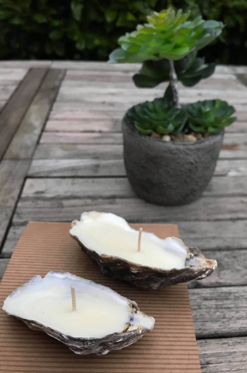 Oyster Shell Candles From Whitstable Beach Scented With - Etsy UK
