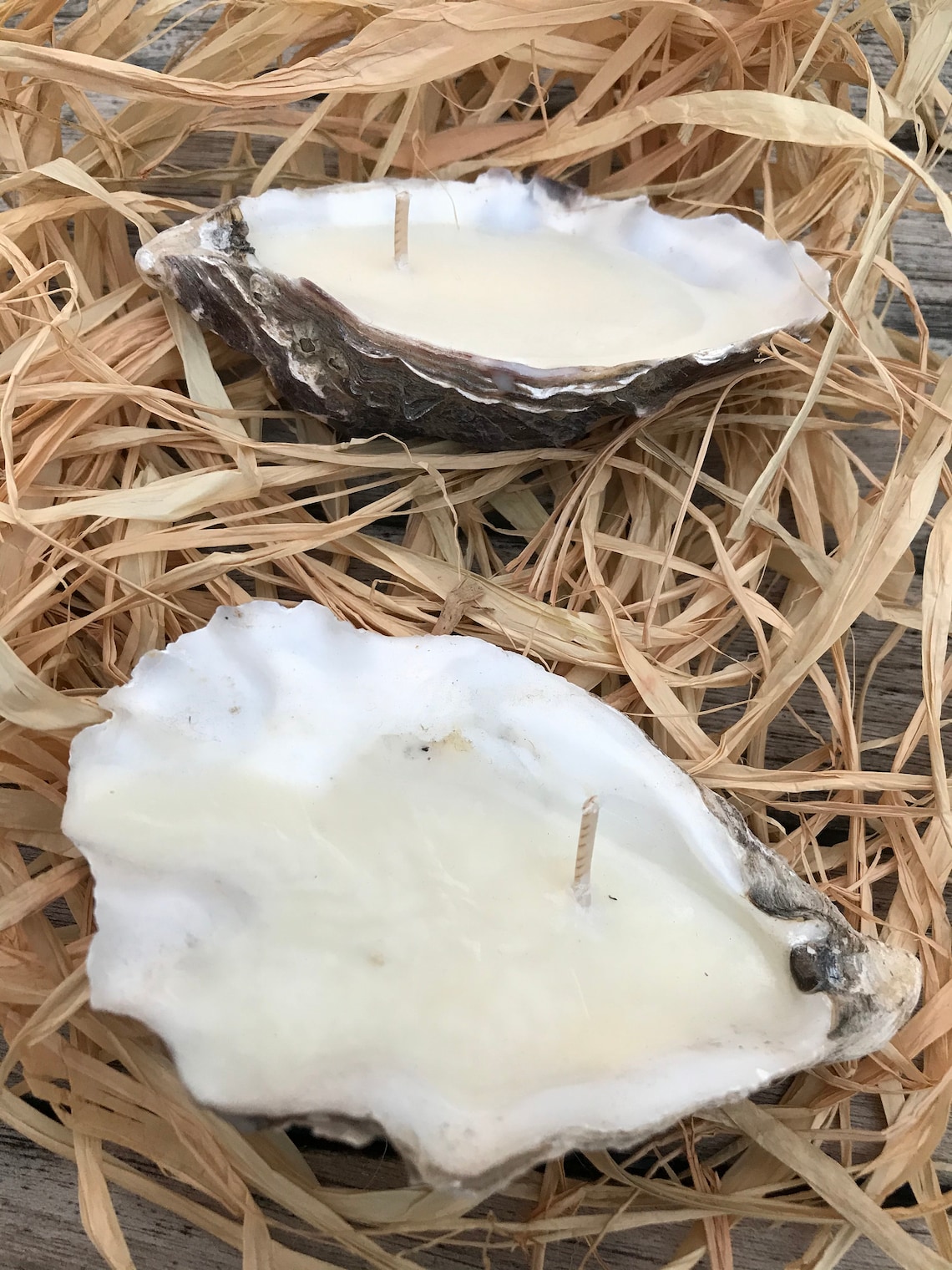 Oyster Shell Candles From Whitstable Beach Scented With - Etsy UK