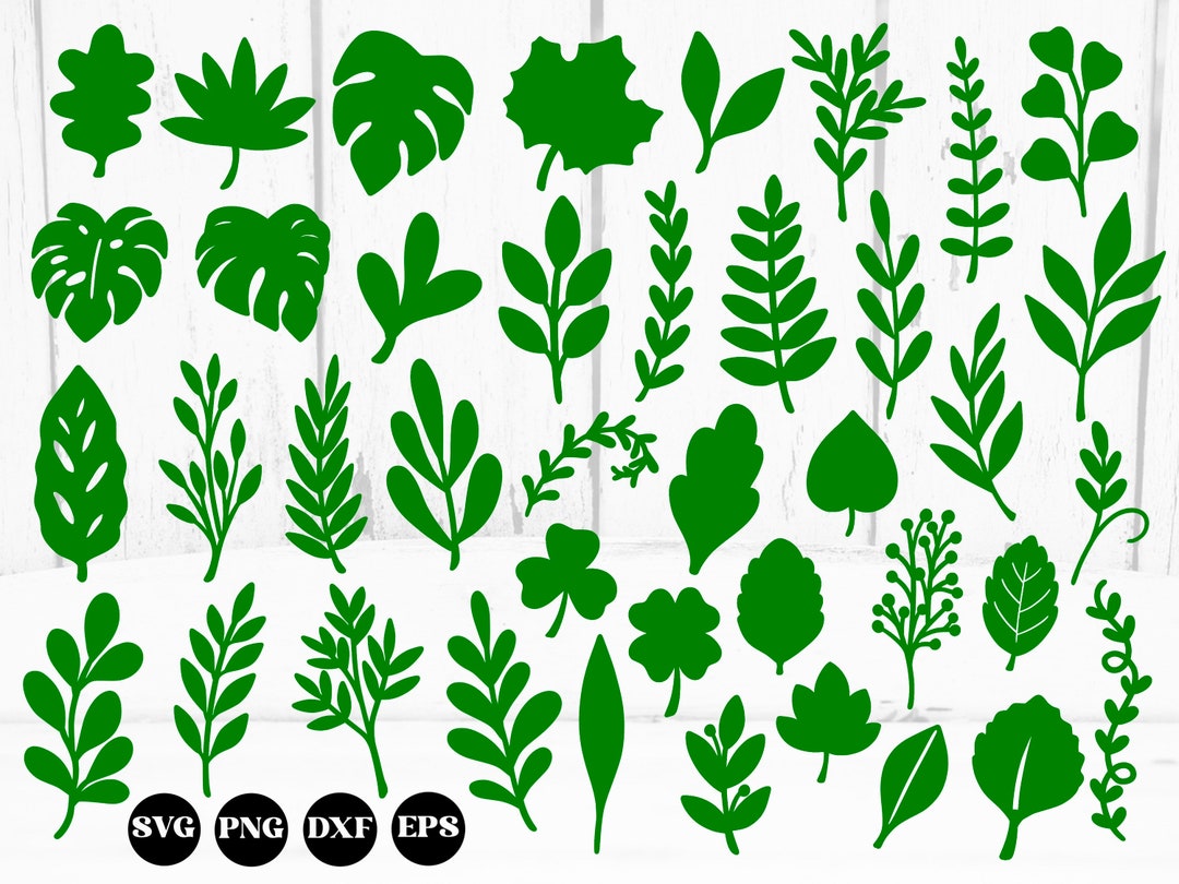 40 Leaves Svg Leaf Svg Paper Flower Leaves Svg Tropical - Etsy