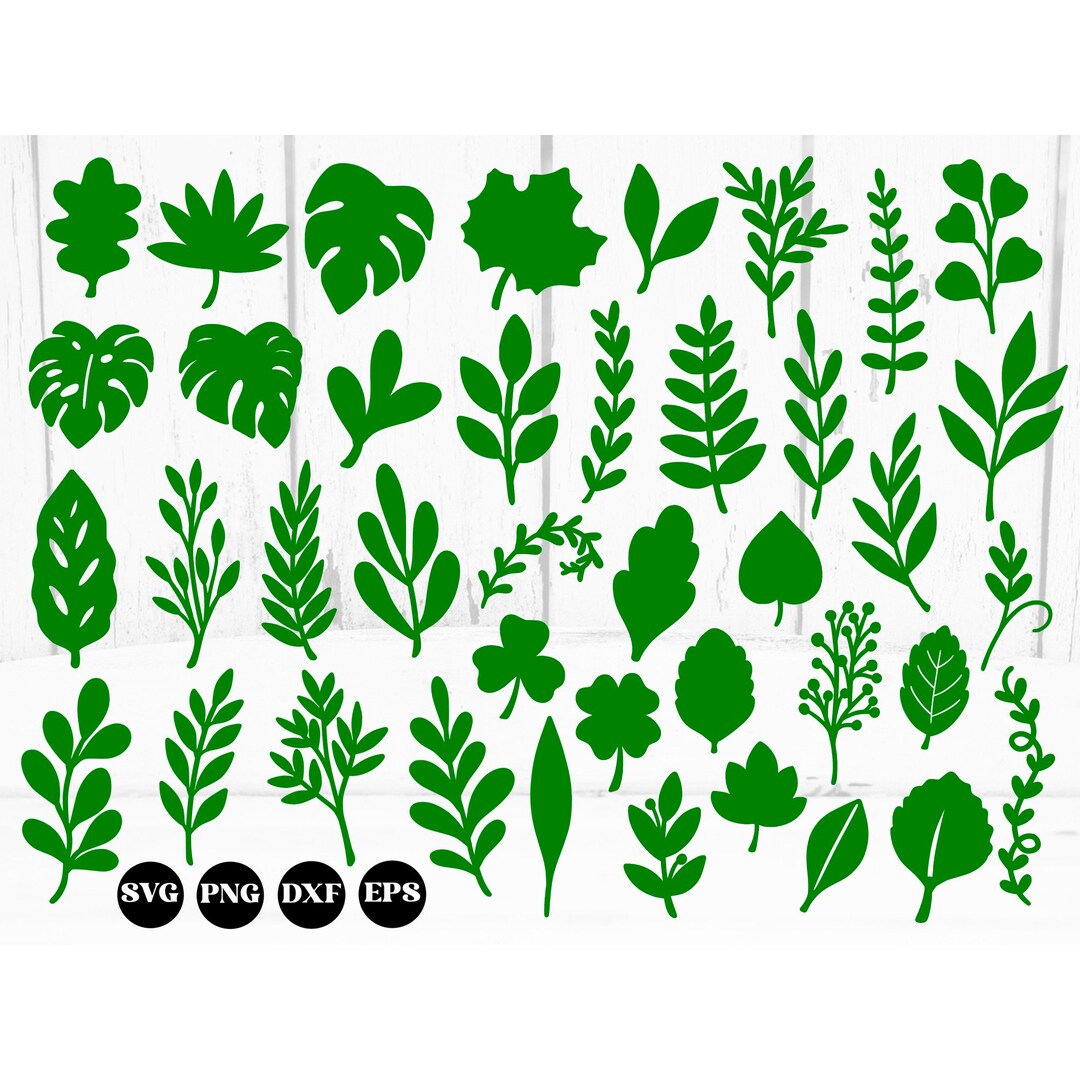 40 Leaves Svg, Leaf Svg, Paper Flower Leaves Svg, Tropical Leaves Svg ...