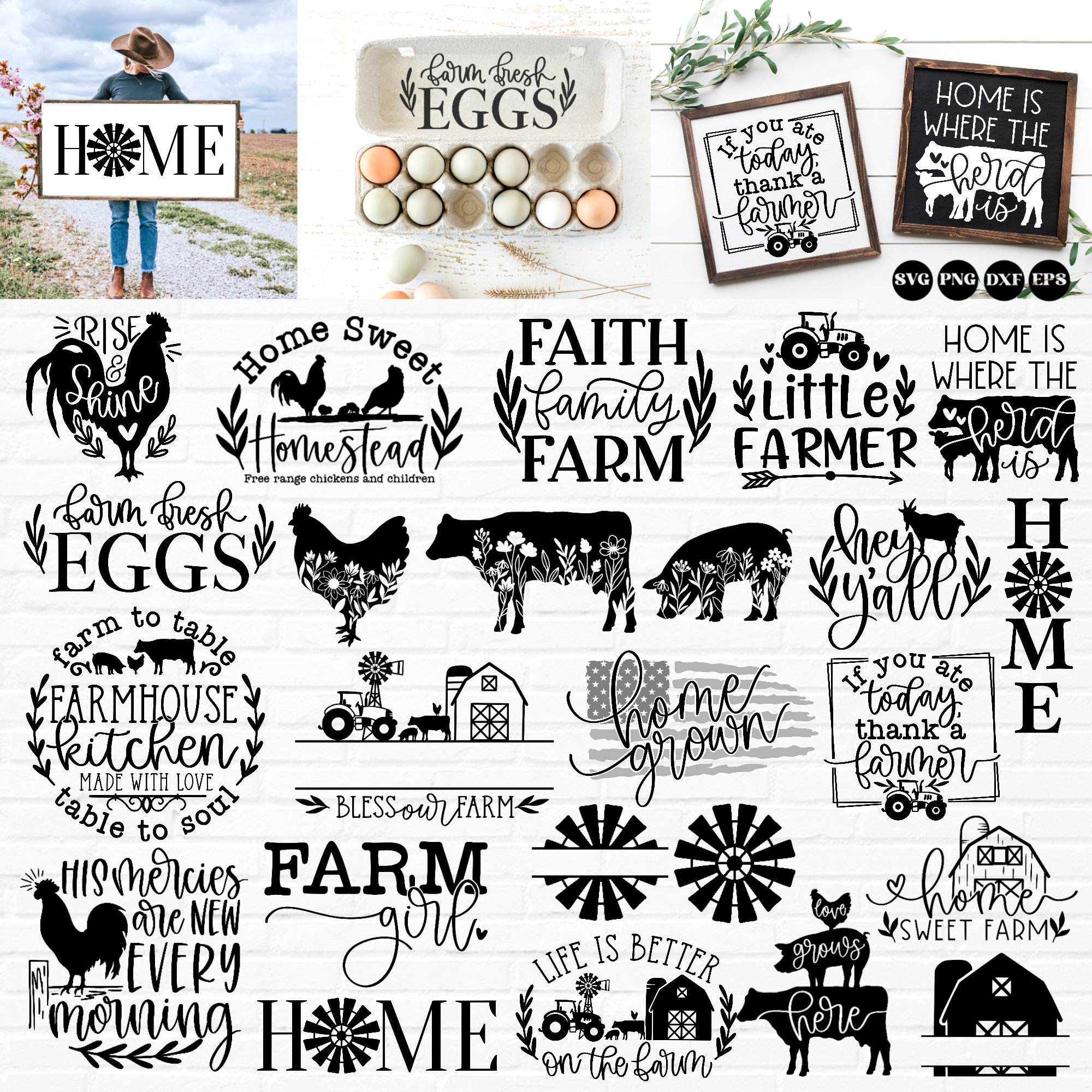 Cute Farm Animal Quotes Funny Donkey Wall Art Farmhouse Sunflowers