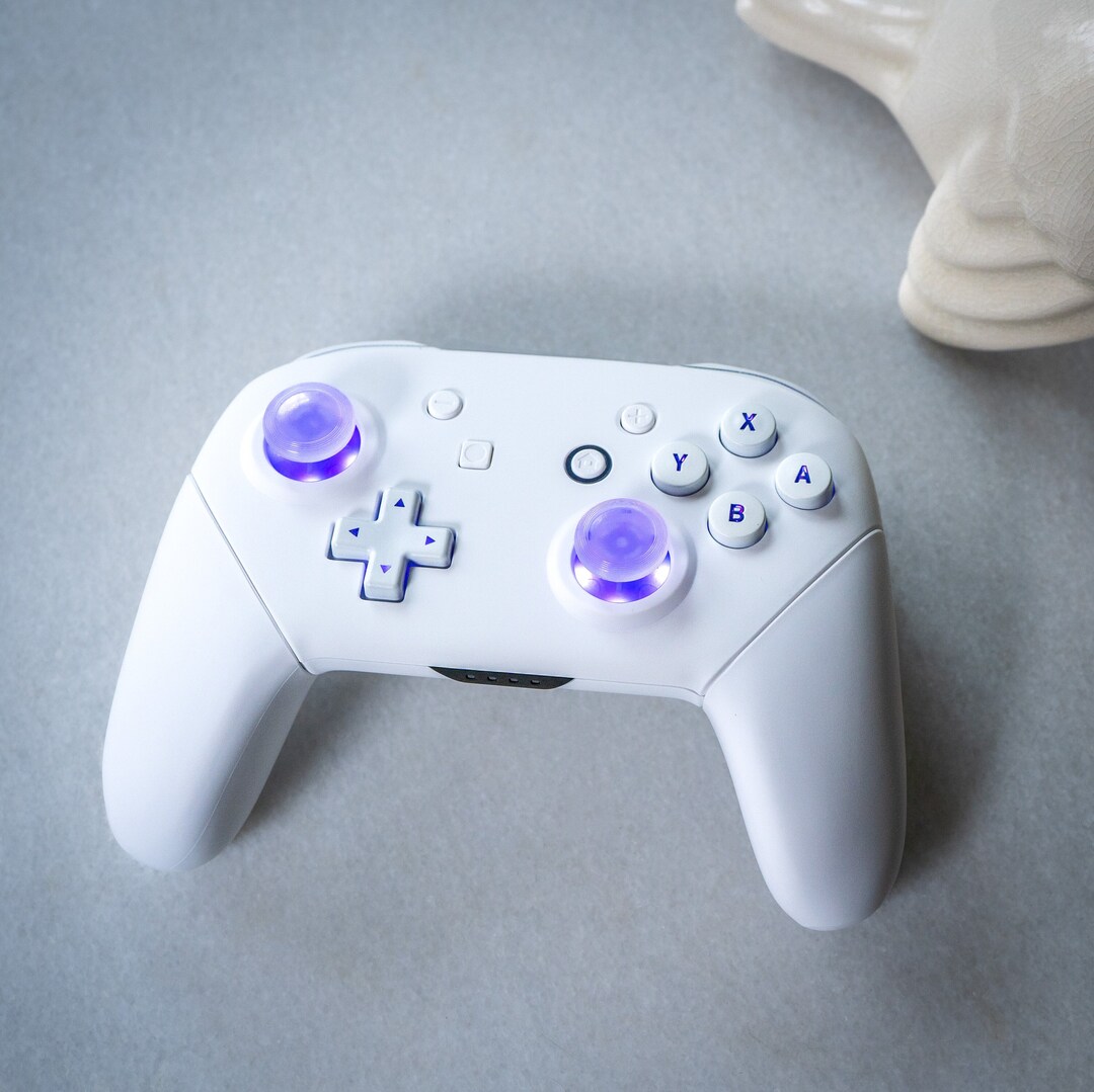 CUSTOM Pro Controller Nintendo SWITCH Controller Mod White on White LED ...