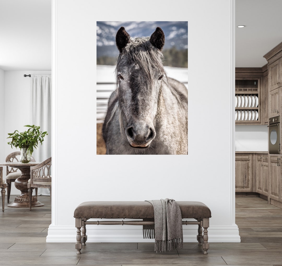 Montana Spring and a Winter Coat, This Will Fit Any Style From Rustic ...