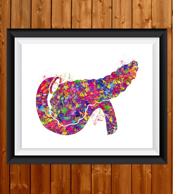 Pancreas Art Watercolor Print Geek Nerd Medical Art Print | Etsy