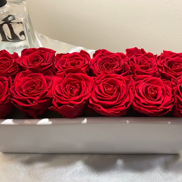 Forever Roses - Etsy