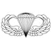 US Navy Enlisted Information Warfare Specialist EIWS Insignia - Etsy