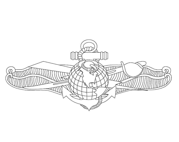 US Navy Enlisted Information Warfare Specialist EIWS - Etsy