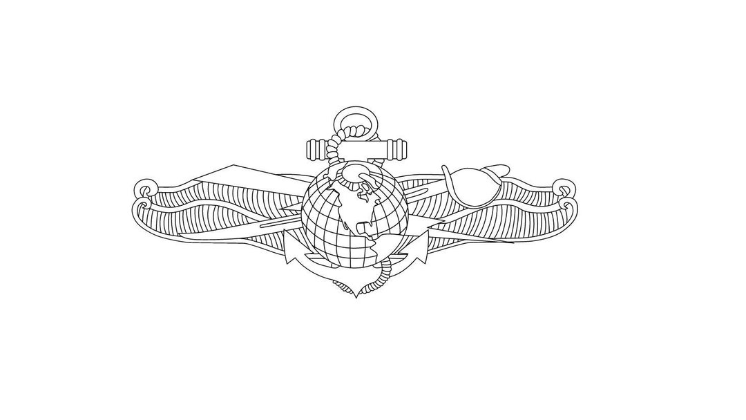 US Navy Enlisted Information Warfare Specialist (EIWS) Insignia - Etsy