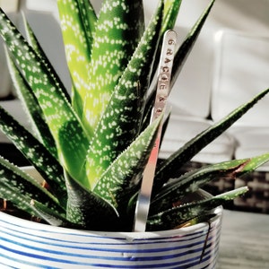 Personalized Planter Stick, Vegetable Garden Marker, Custom Plant Stake ...