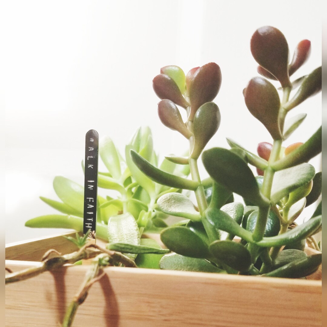 Personalized Planter Stick, Vegetable Garden Marker, Custom Plant Stake ...