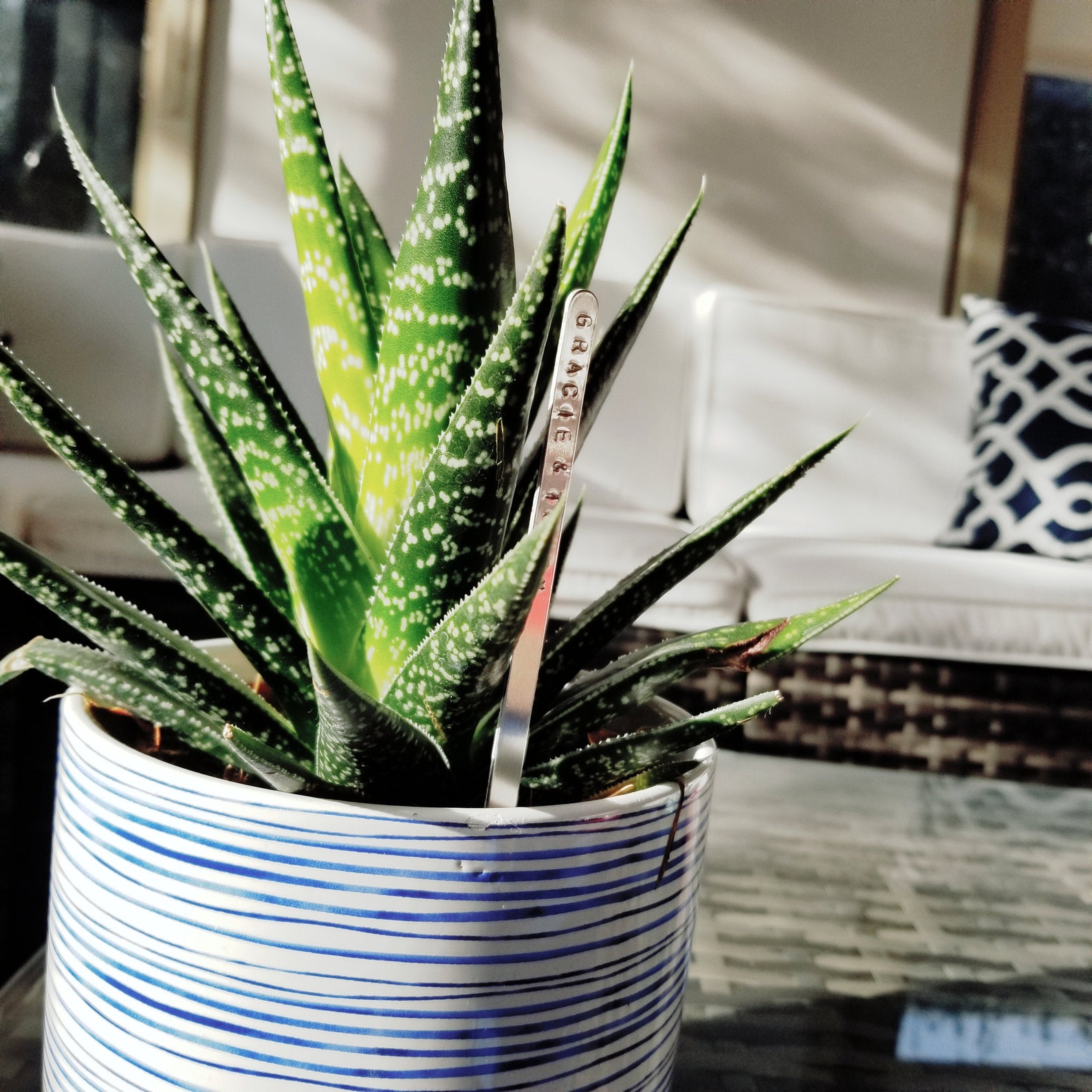 Personalized Planter Stick Vegetable Garden Marker Custom - Etsy