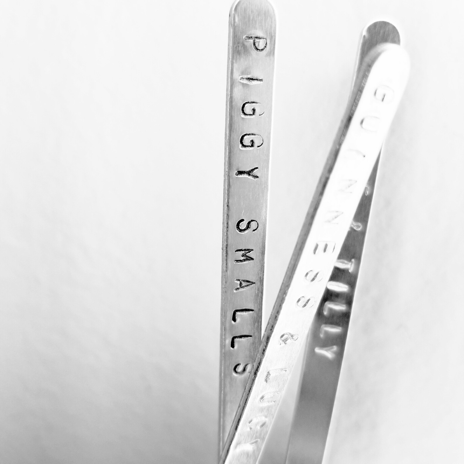 Personalized Planter Stick Vegetable Garden Marker Custom - Etsy