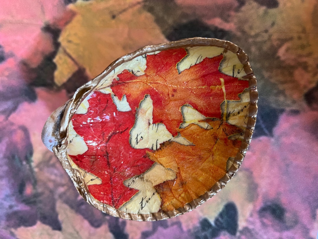 Decoupage Large Deep Cockle Shell With Gold Ball Feet - Etsy