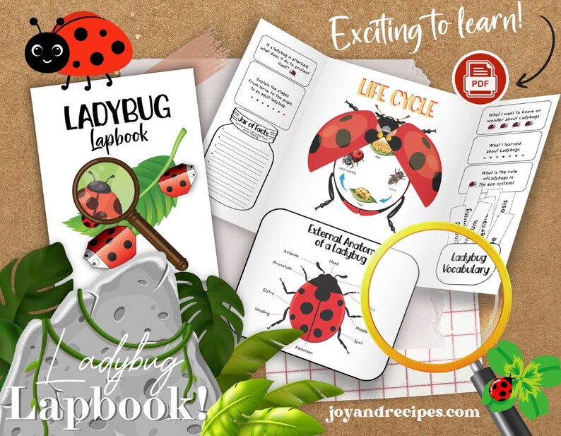 Ladybug Life Cycle Lapbook Printable Kids Homeschool Activity Insects ...