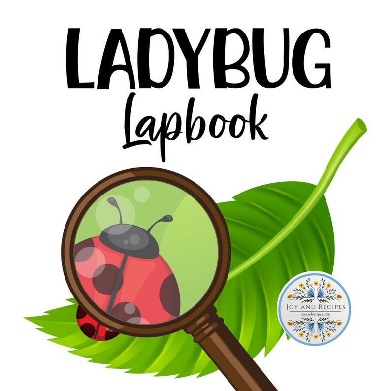 Ladybug Life Cycle Lapbook Printable Kids Homeschool Activity Insects ...