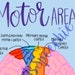 Motor Areas in the Brain Diagram - Etsy