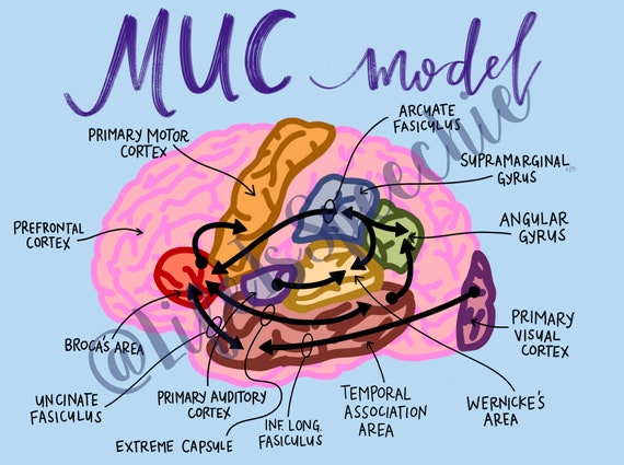 Memory Unification Control Model Diagram | Etsy