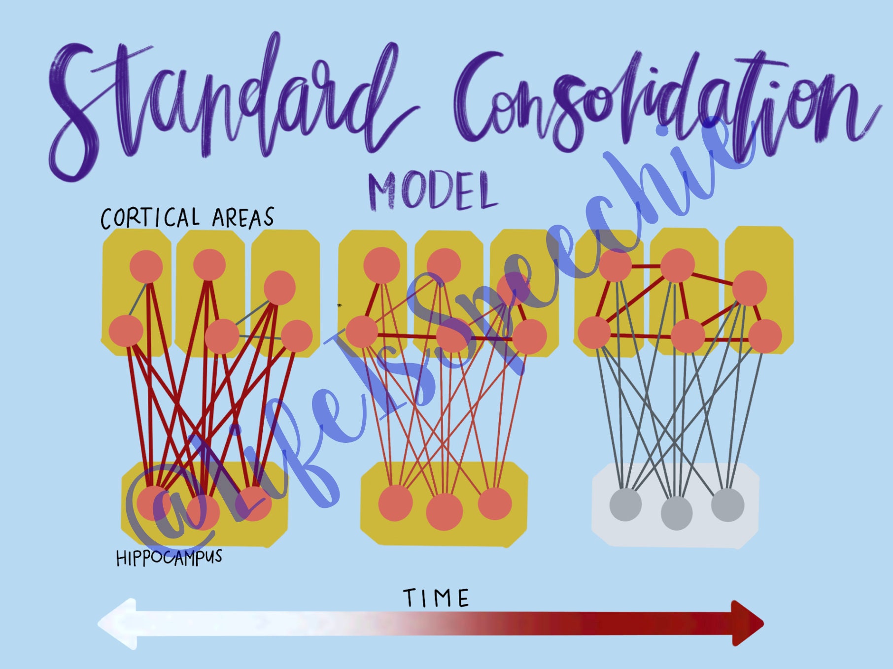 Standard Consolidation Model Diagram - Etsy