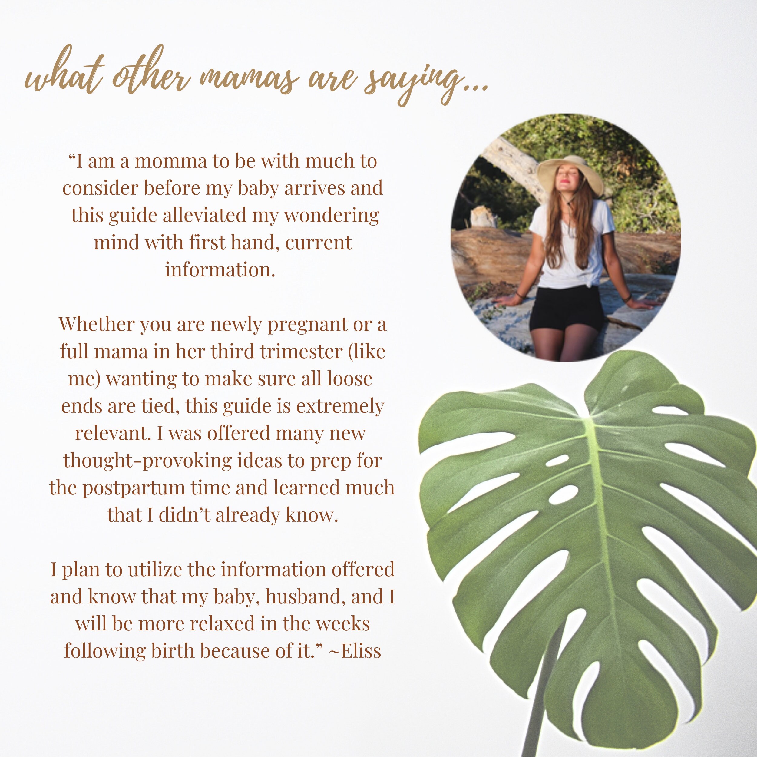 New Mom Guide Non Toxic Products After Birth Care Postpartum Nutrition ...