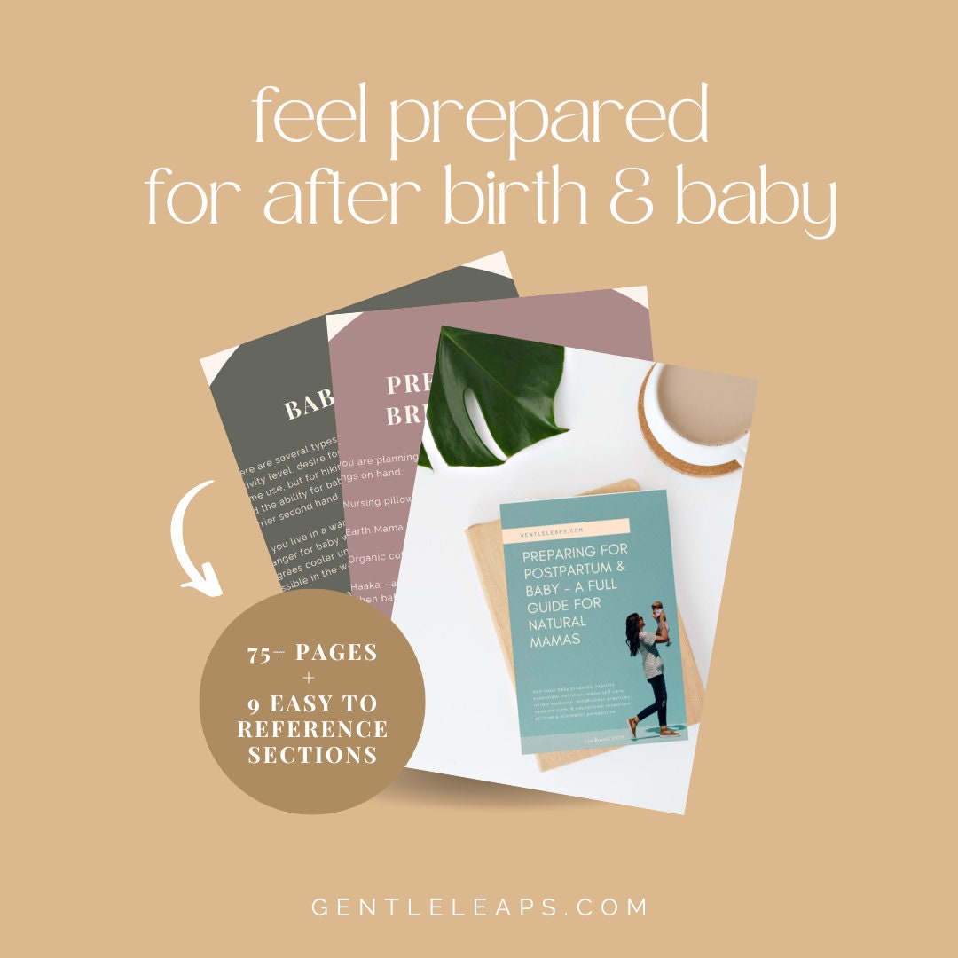 New Mom Guide Non Toxic Products After Birth Care Postpartum Nutrition ...
