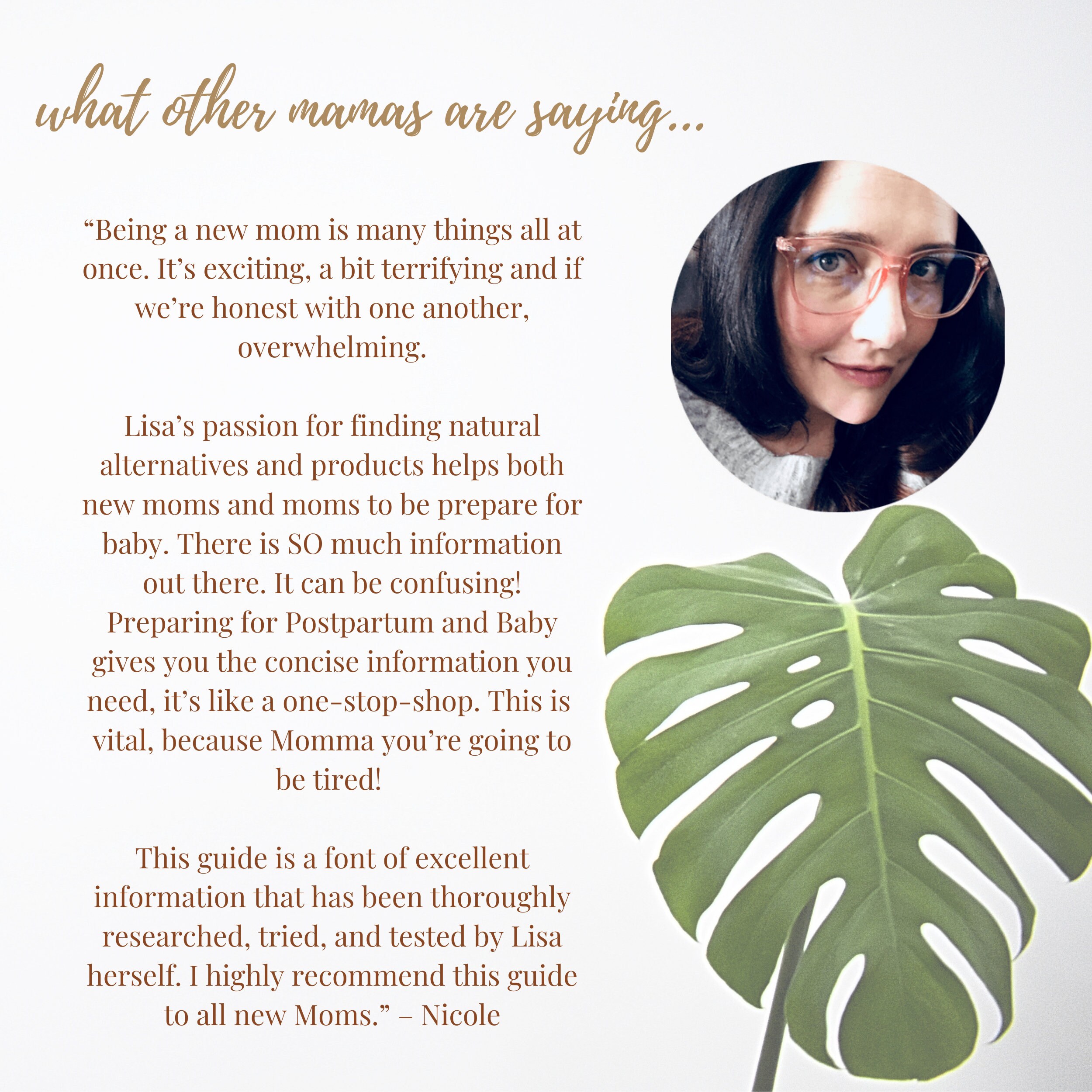 New Mom Guide Non Toxic Products After Birth Care Postpartum Nutrition ...