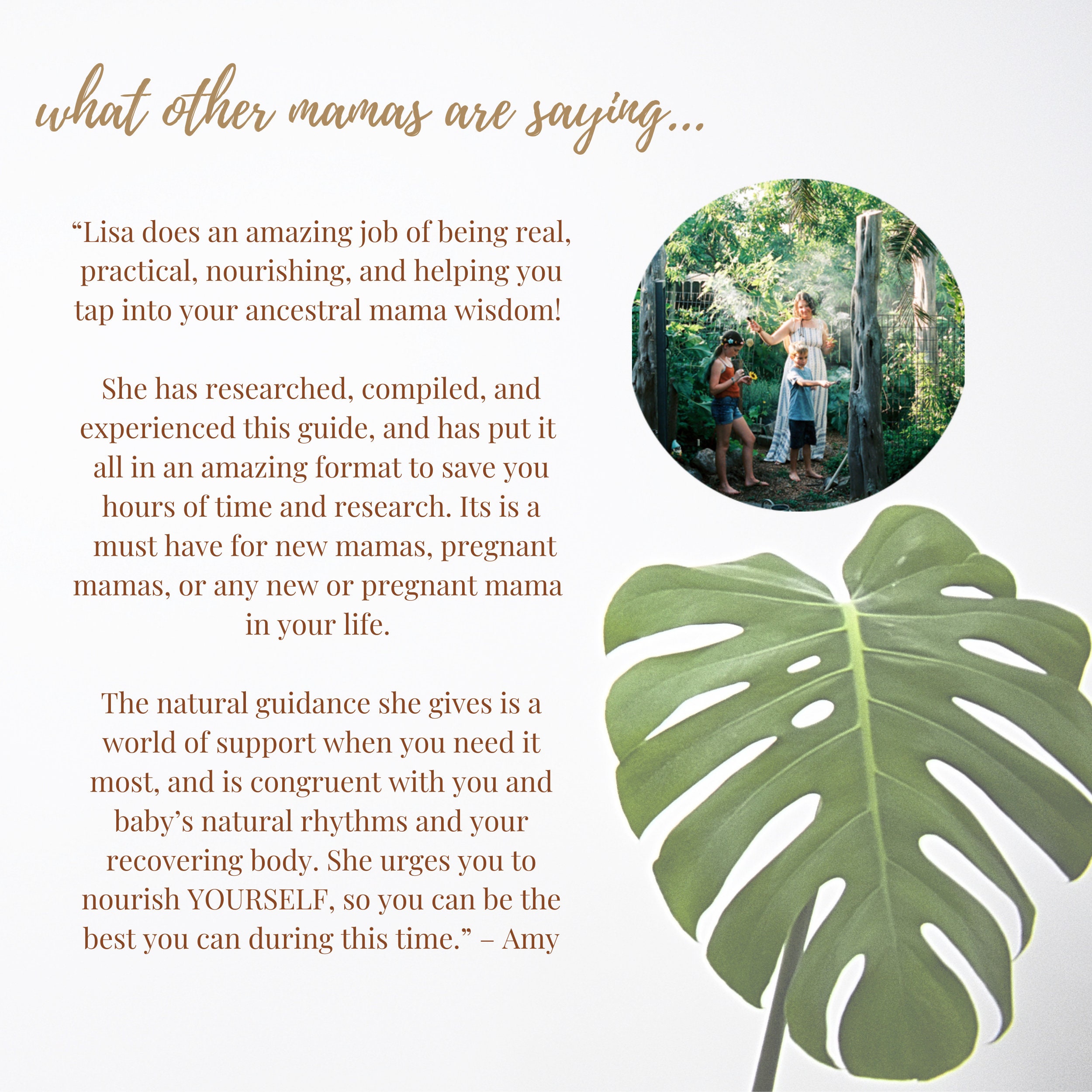 New Mom Guide Non Toxic Products After Birth Care Postpartum Nutrition ...