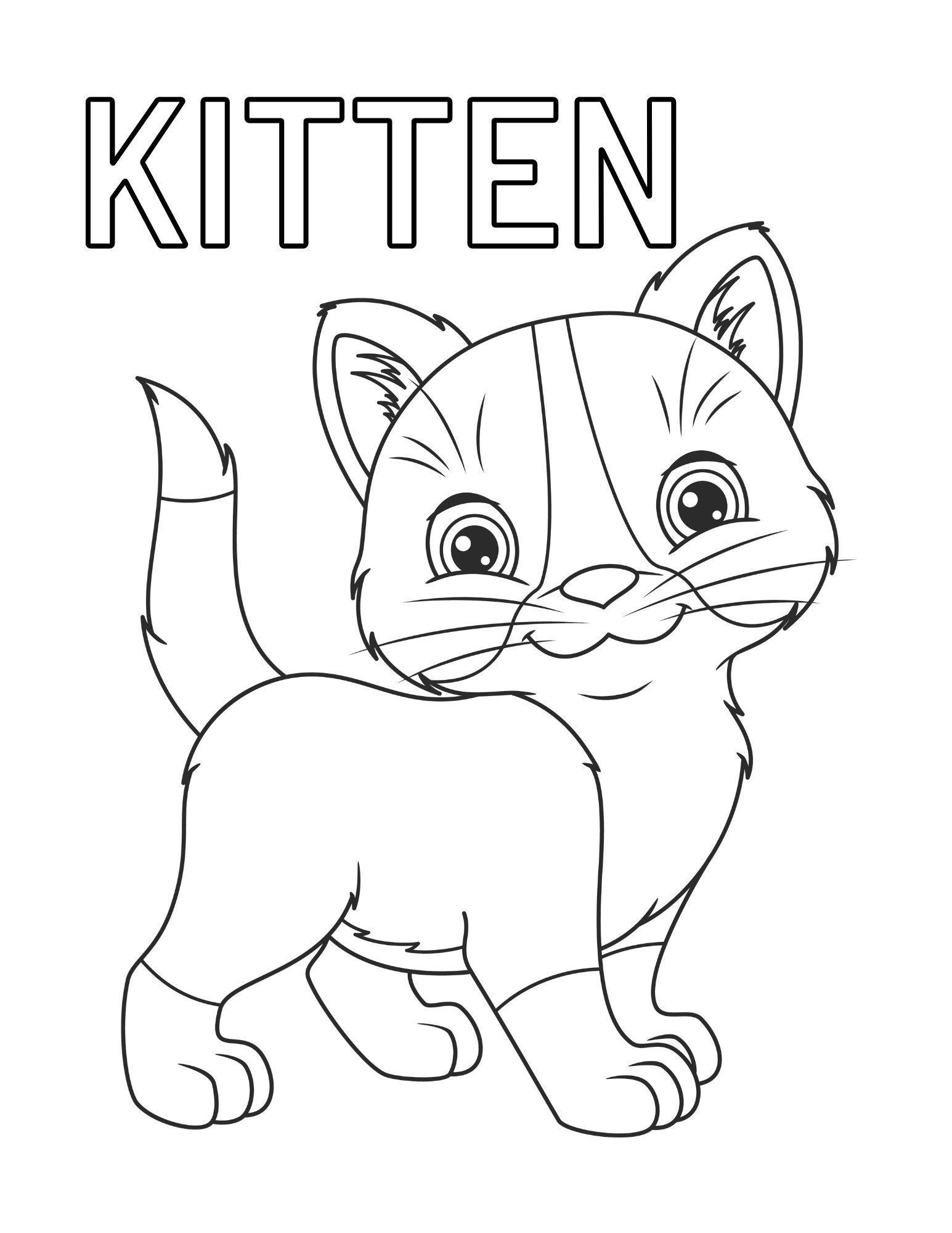 Animal Coloring Sheets - Etsy