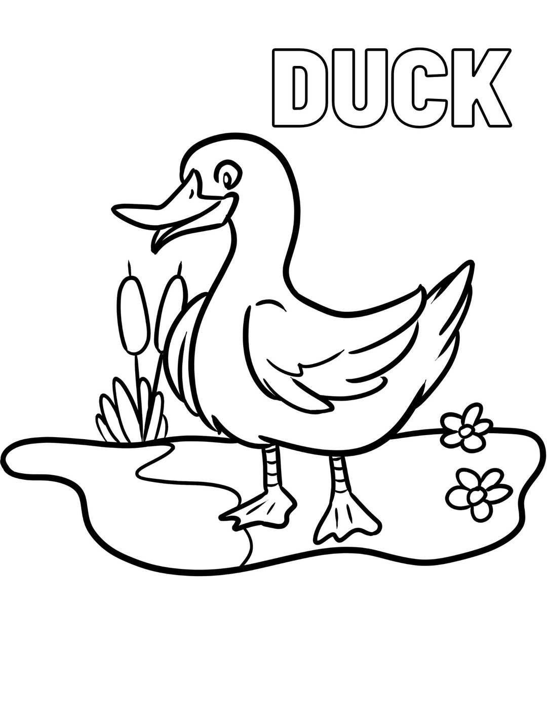 Animal Coloring Sheets - Etsy