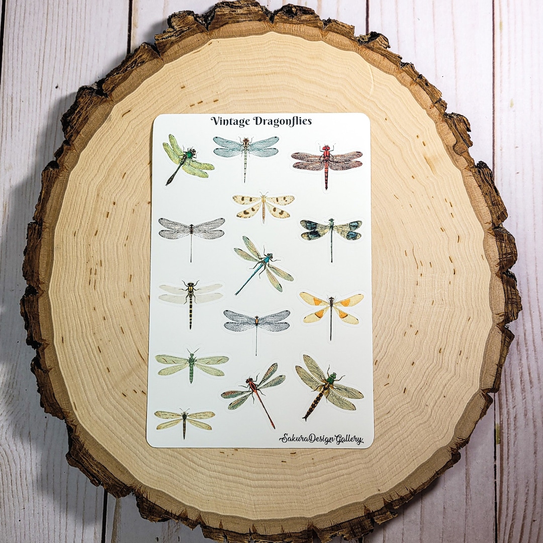 Vintage Dragonfly Sticker Sheet, Dragon Fly Stickers, Insect Stickers ...