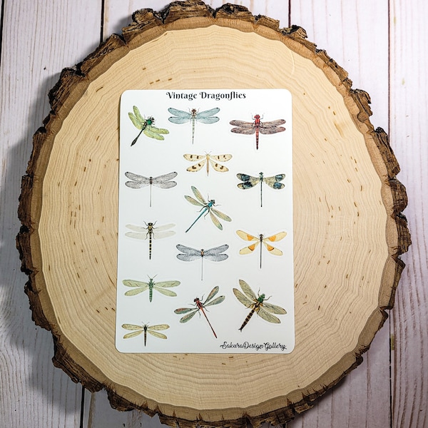 Dragonfly Sticker - Etsy