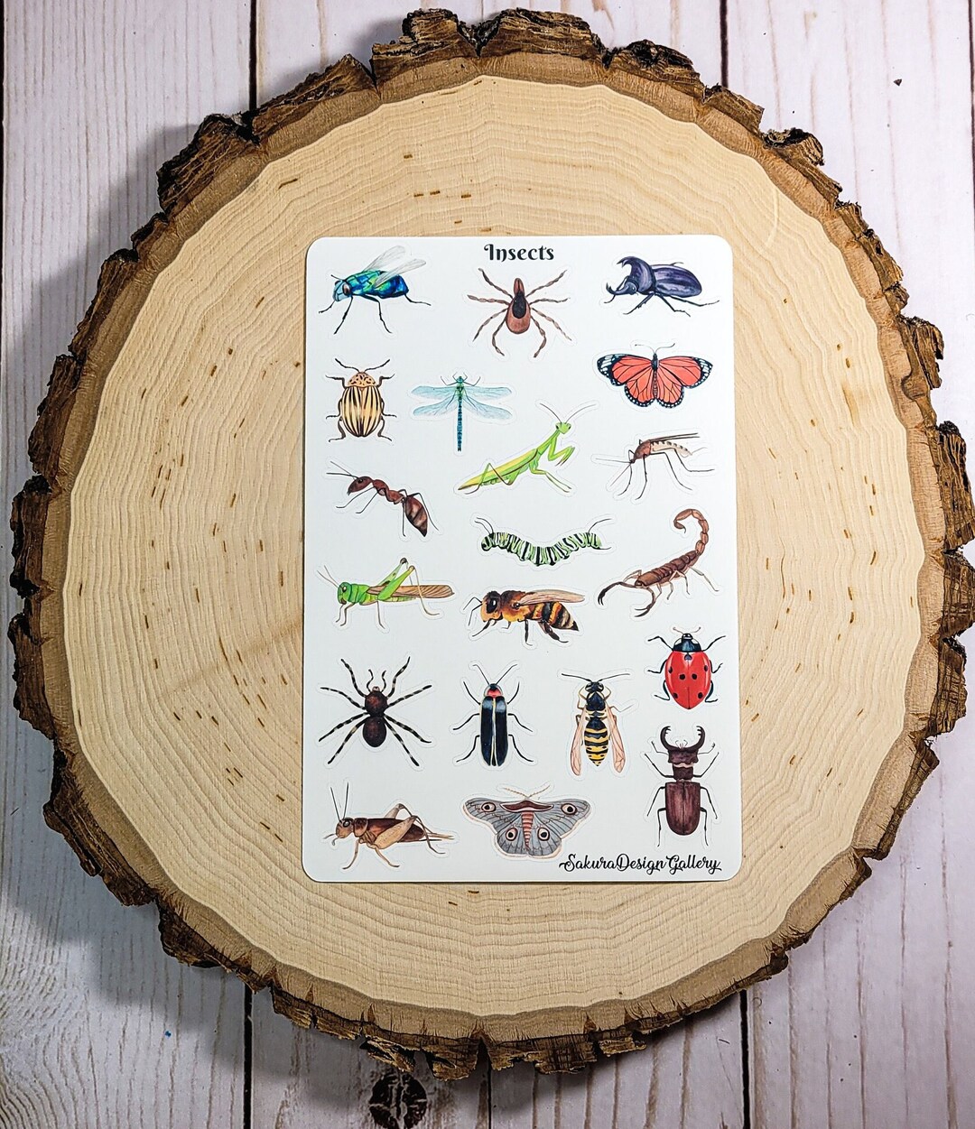 Insect Sticker Sheet, Bug Stickers, Journal Stickers, Scrapbook ...