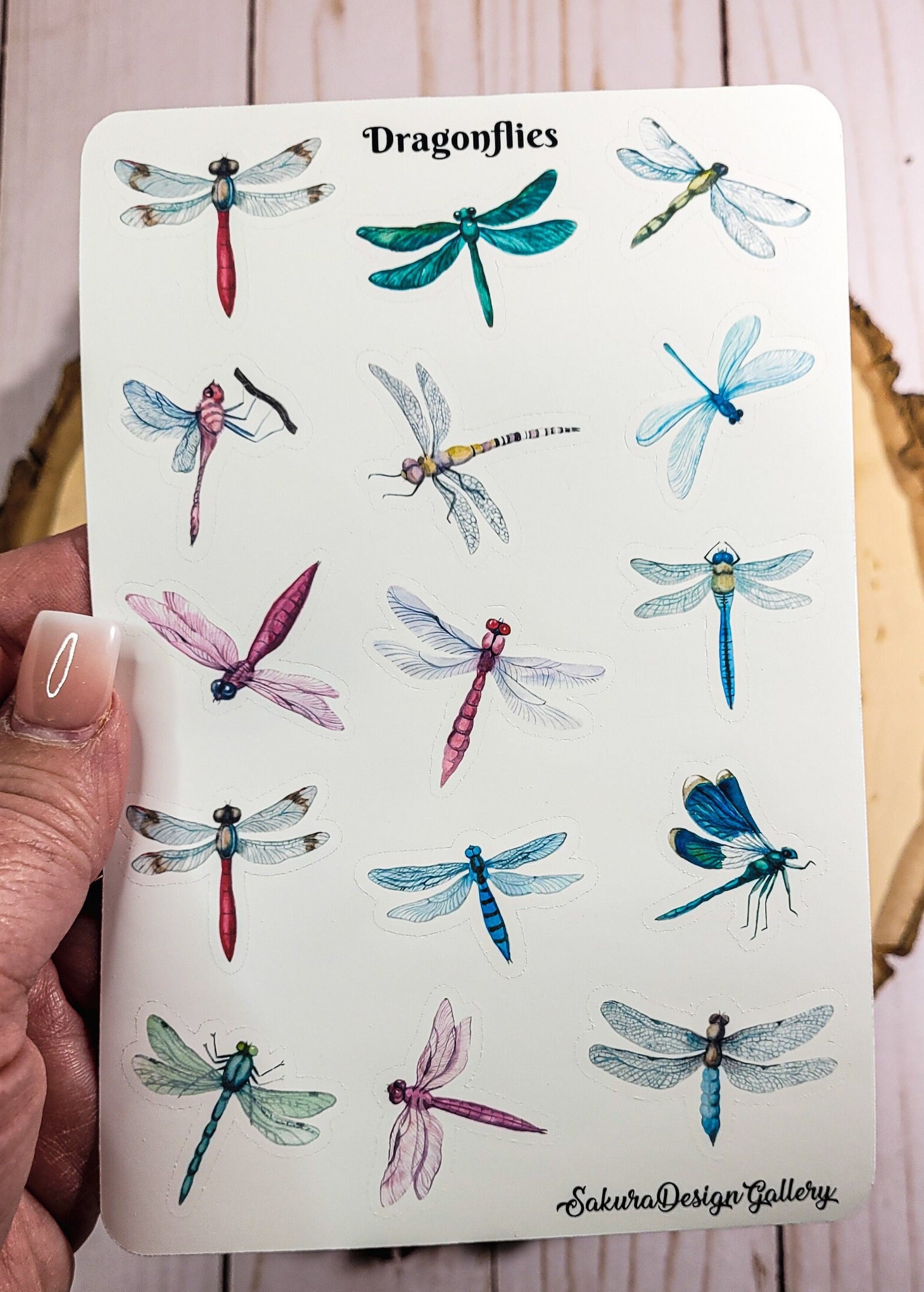 Colorful Dragonfly Sticker Sheet, Dragon Fly Stickers, Insect Stickers ...