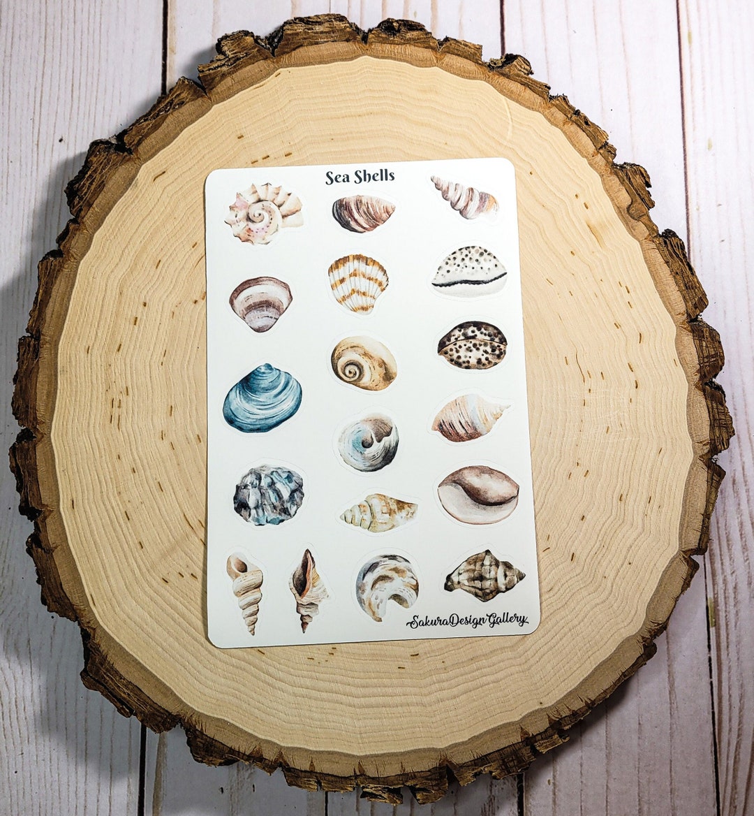 Seashells Sticker Sheet, Beach Stickers, Journal Stickers, Scrapbook ...