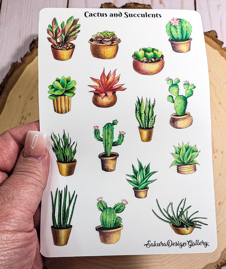 Cactus and Succulent Sticker Sheet, Journal Stickers, Scrapbook ...
