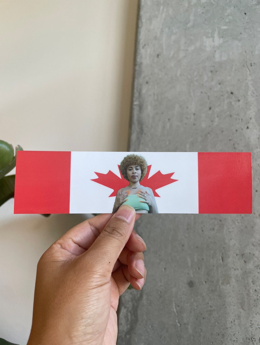 Ice Spice in Canada Bumper Sticker Ships Daily Made in America ...