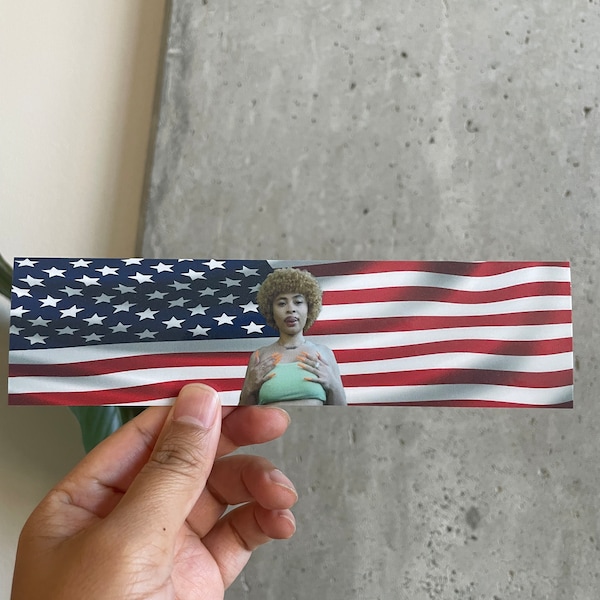 Ice Spice Flag - Etsy