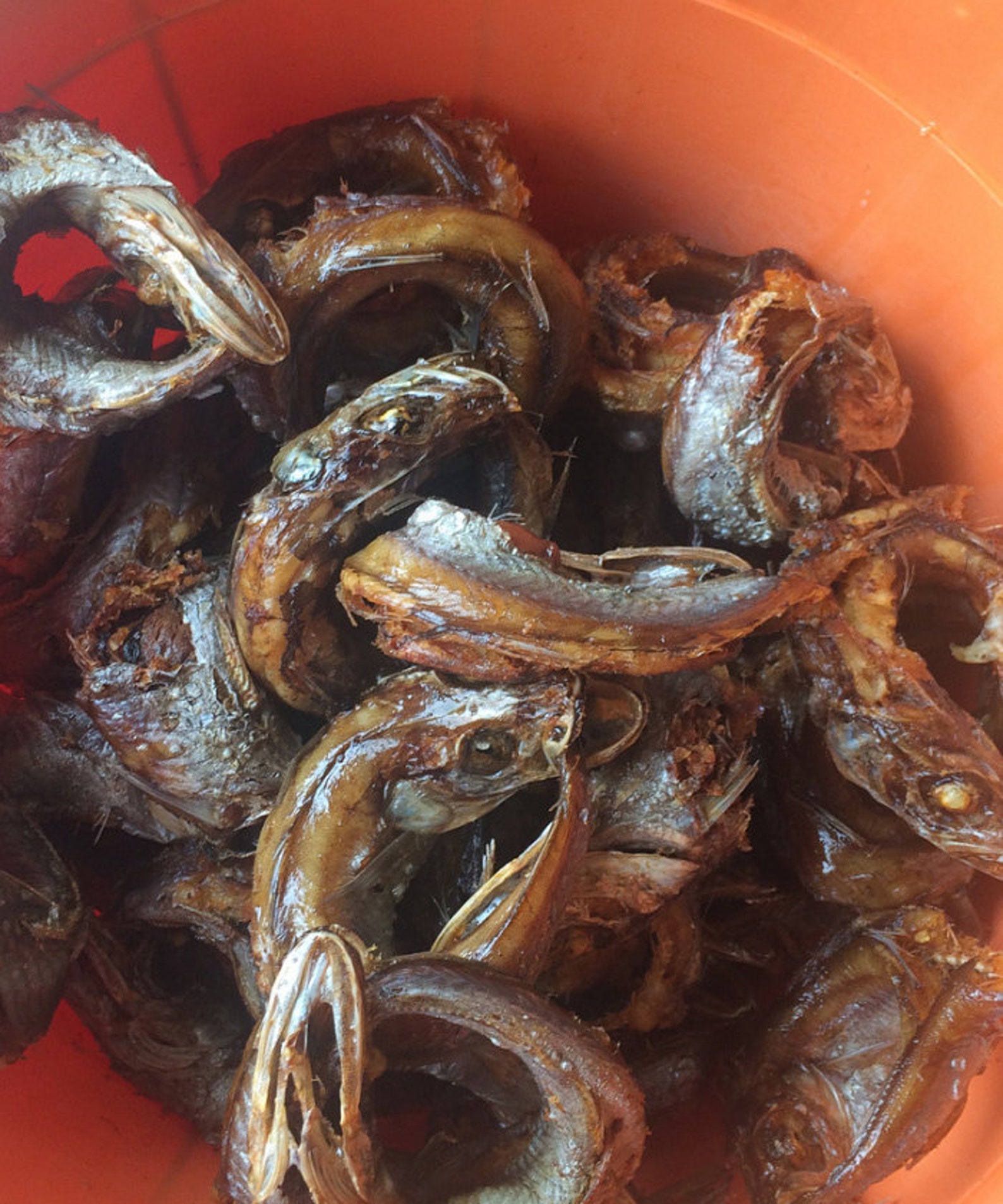 Eja Panla/panla Fish/ Dried Panla/eja Kika /5pieace/free - Etsy UK