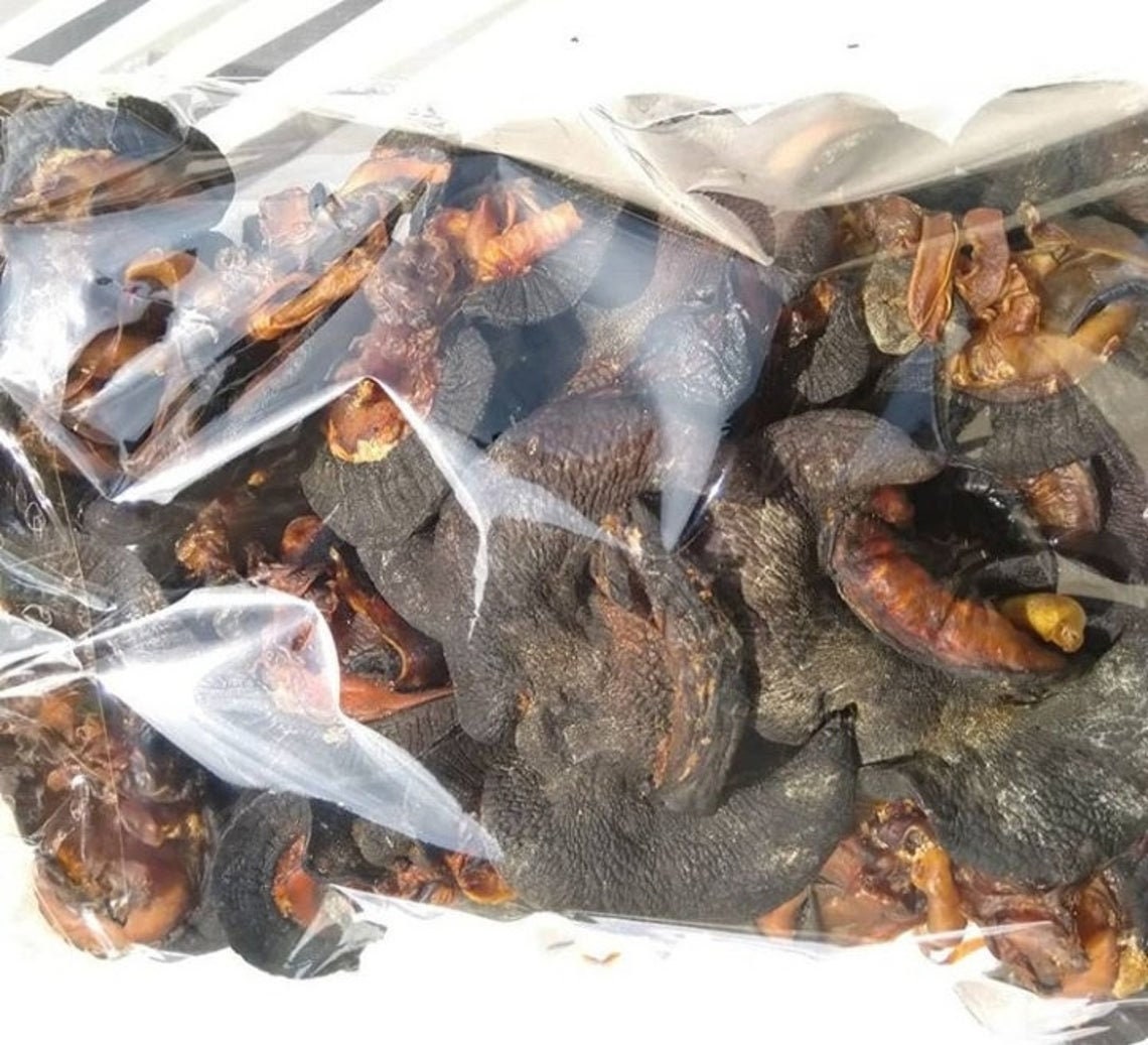 Snail Roasted Snail/ Snail Nigerian Igbin/igbin Alata/stewed | Etsy