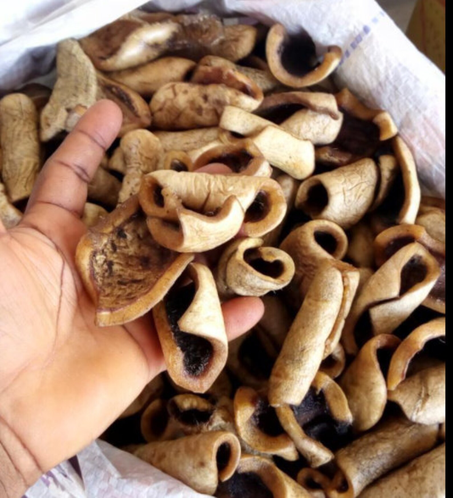 FREESHIPPING Dried White Ponmo 10 Pieces Small Size /cow - Etsy