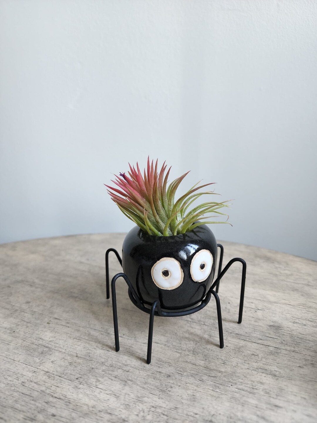 Spider Bud Vase / Spider Pot / Plant Lover Gifts / Plant - Etsy
