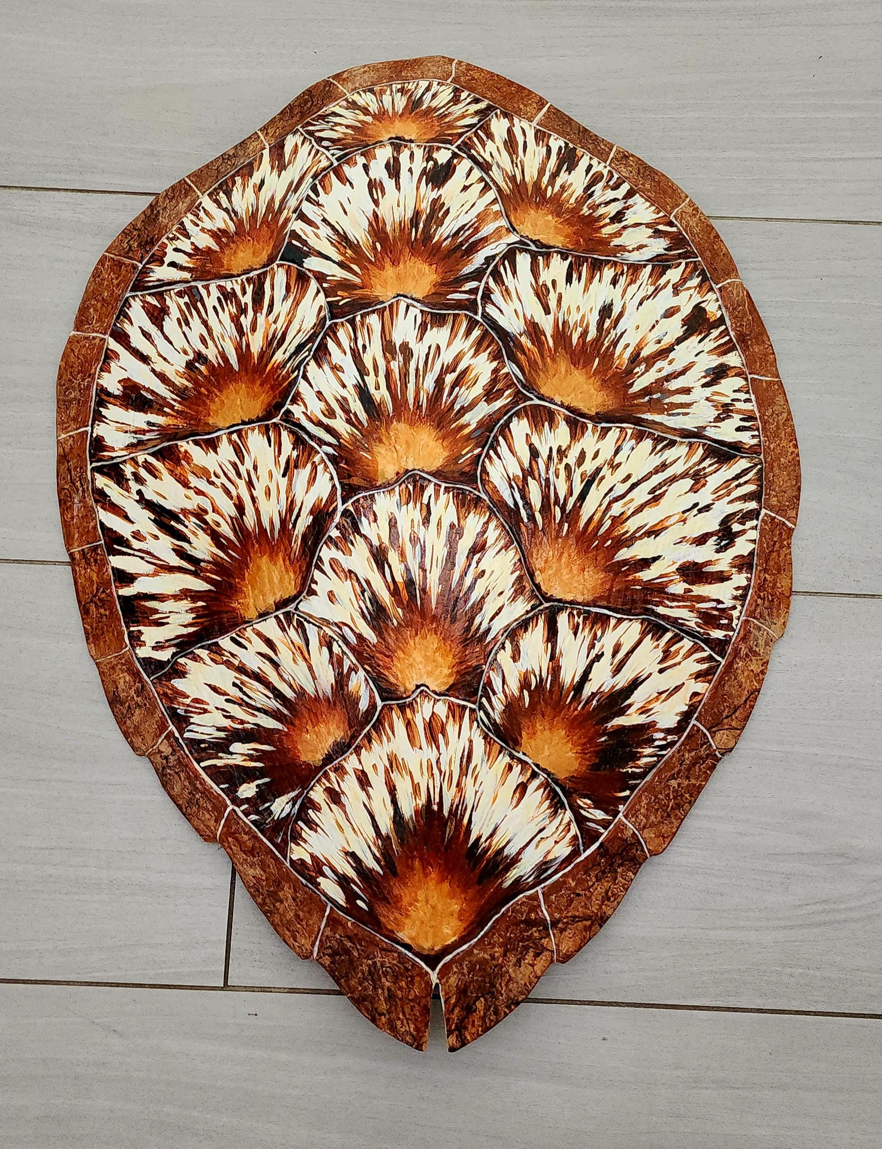 Green Turtle Shell - Etsy