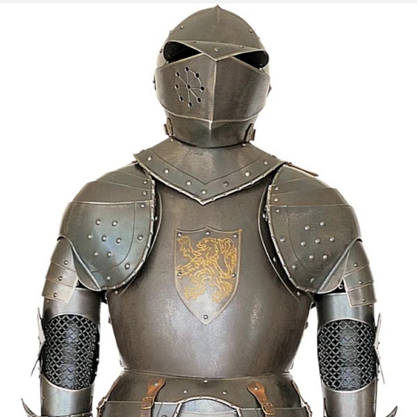 Buhurt Armor - Etsy Australia