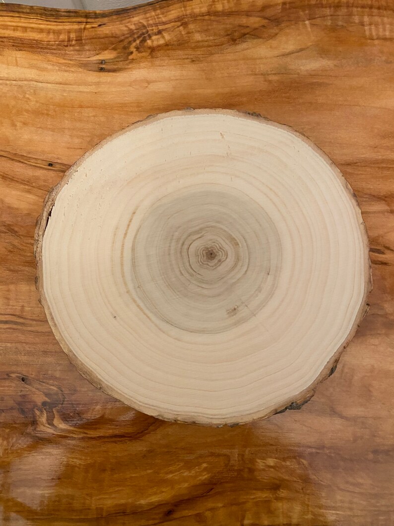 Live Edge Wooden Trivet, Coaster, Raised Trivet, Decoration, Candle ...