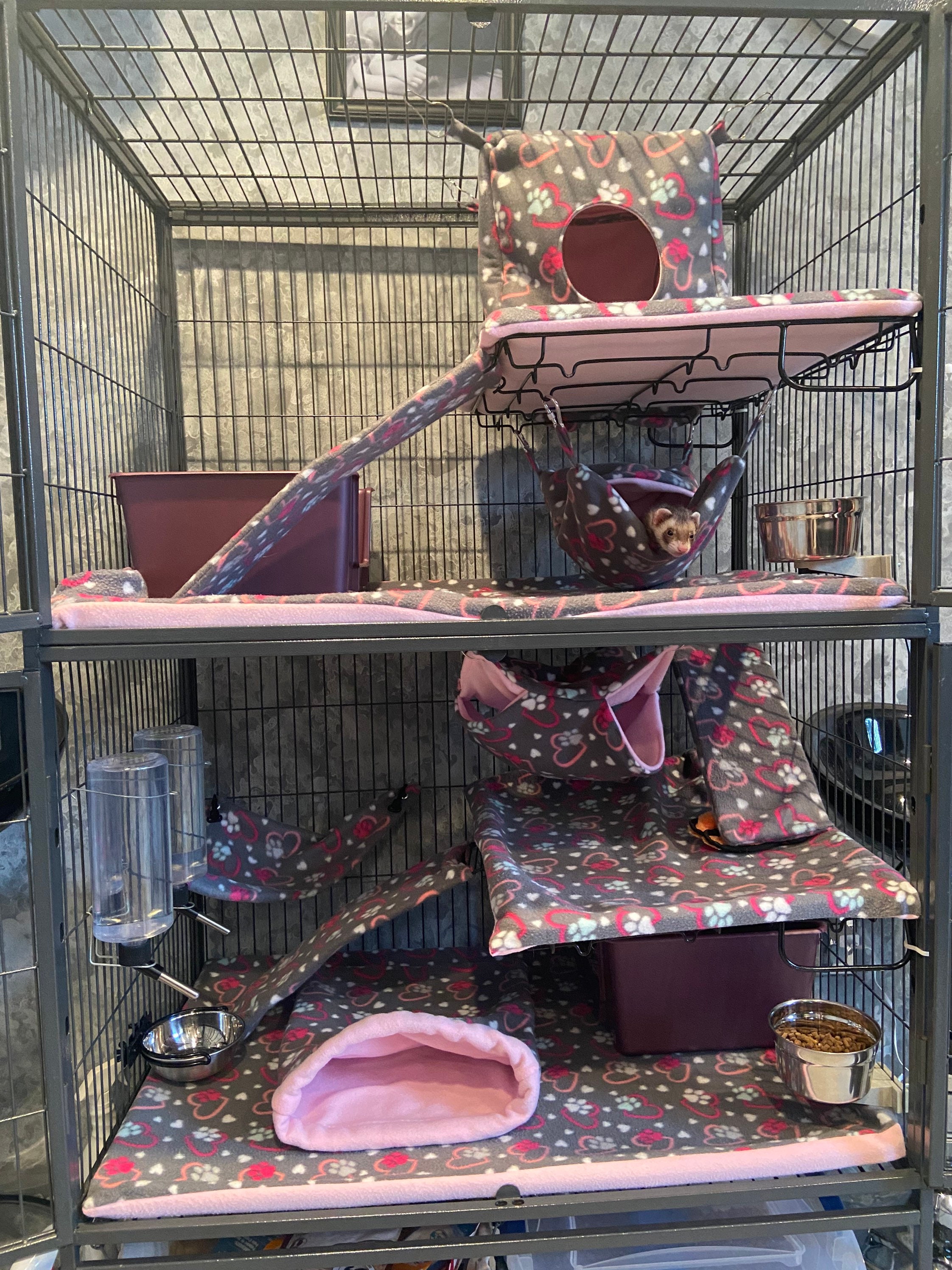 Cool Ferret Cage Designs